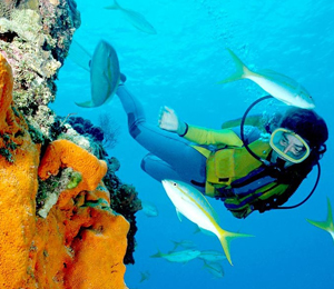 Scuba Diving in Key West | Best On Key West